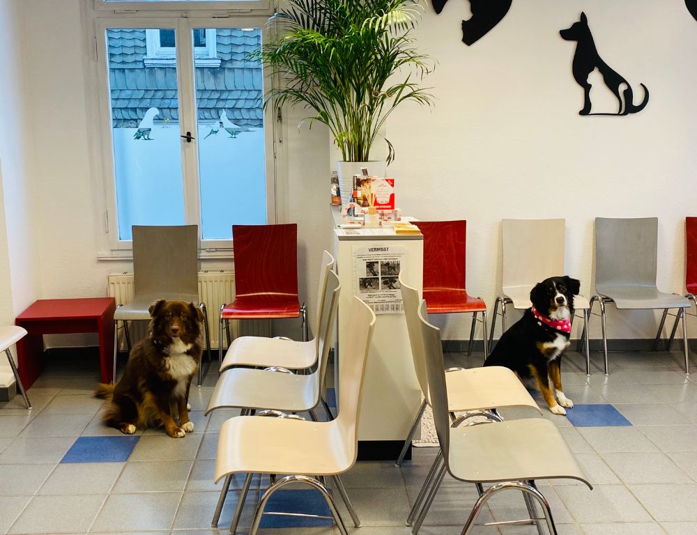 Tierarztliche Praxis Wuppertal Ug